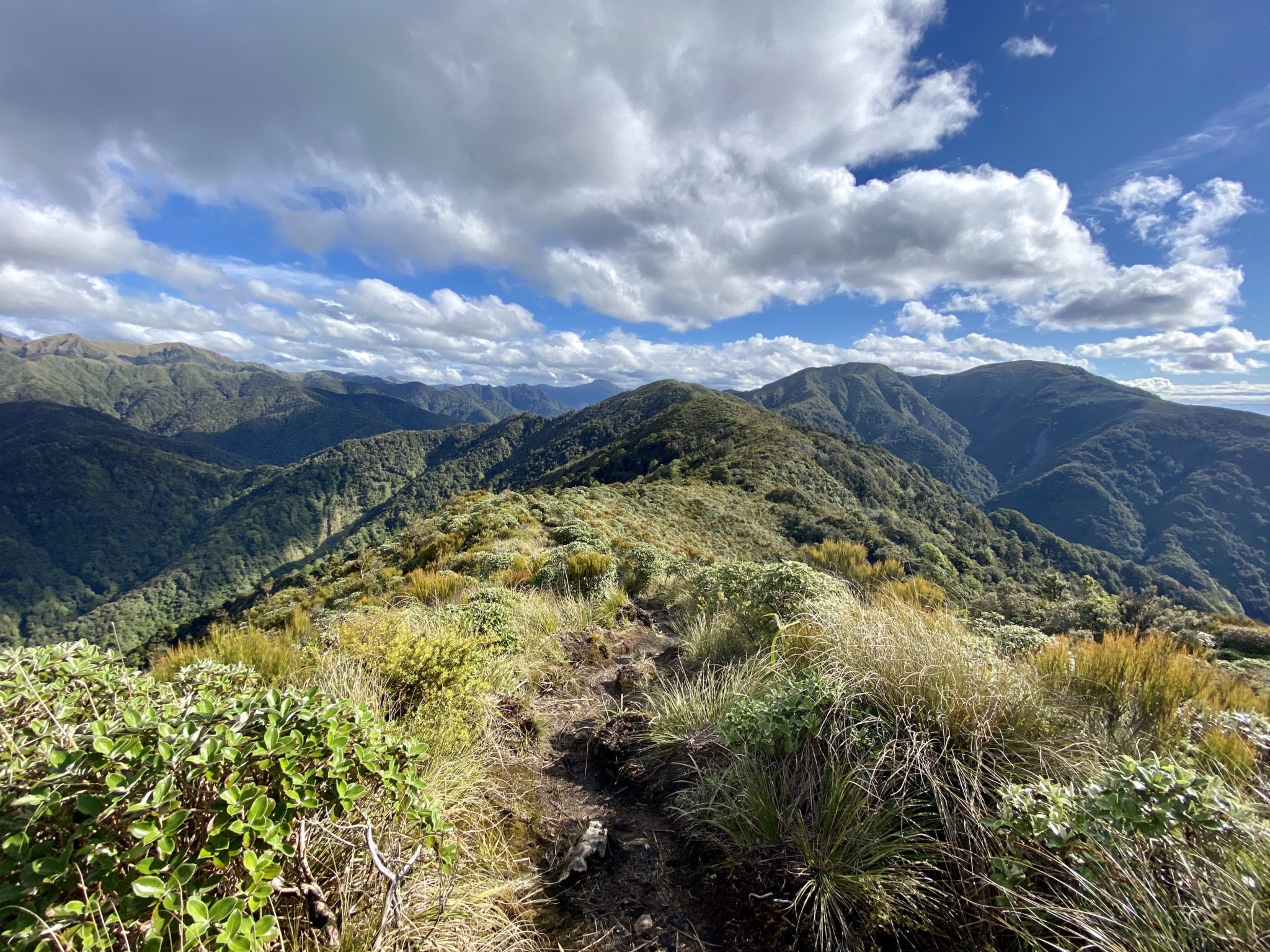 Tararua