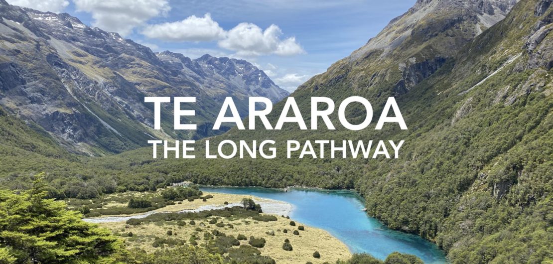 Te Araroa - A STRAY LIFE